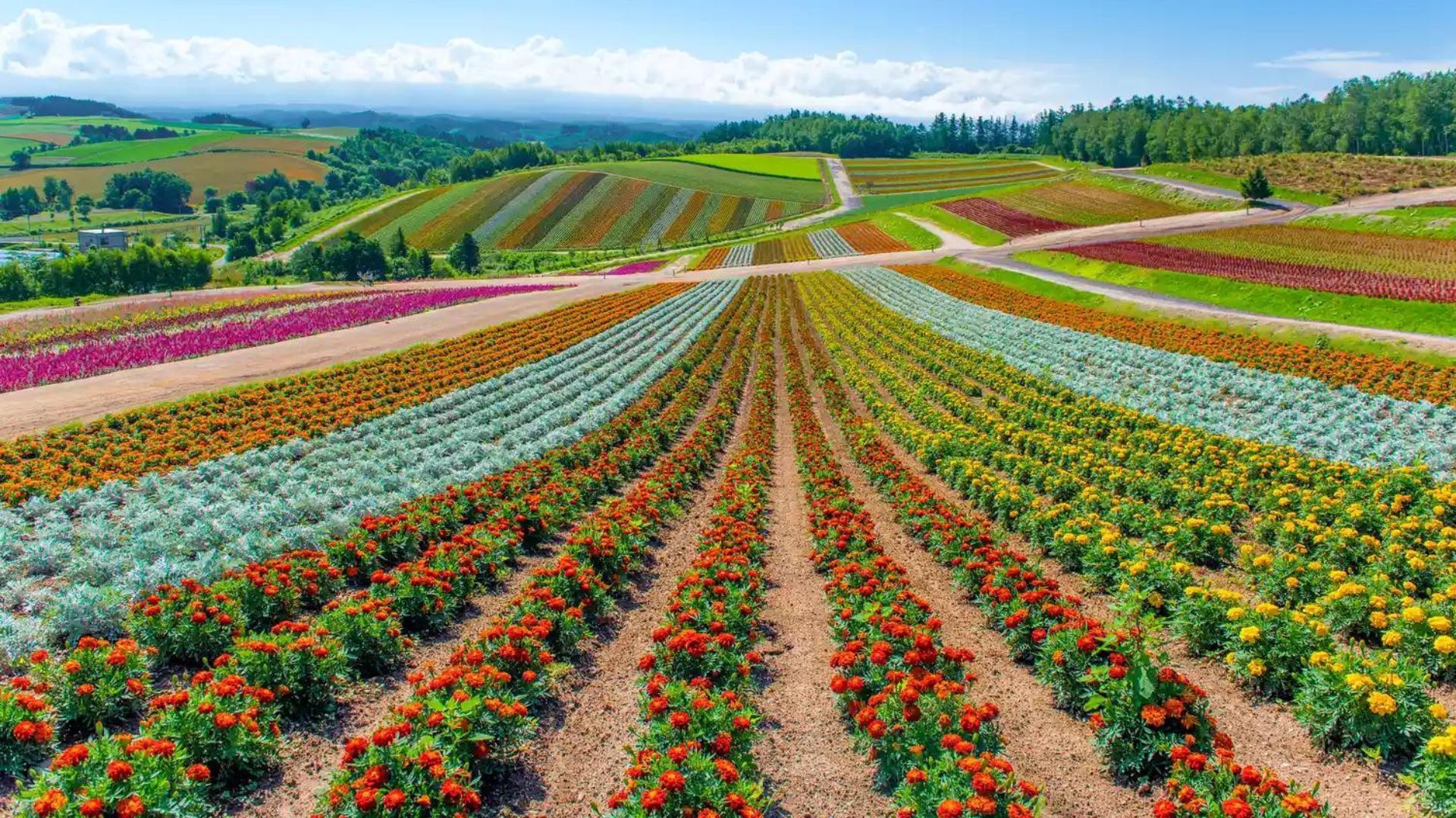 Best Tourism Village In The World 2023, According To The United Nations