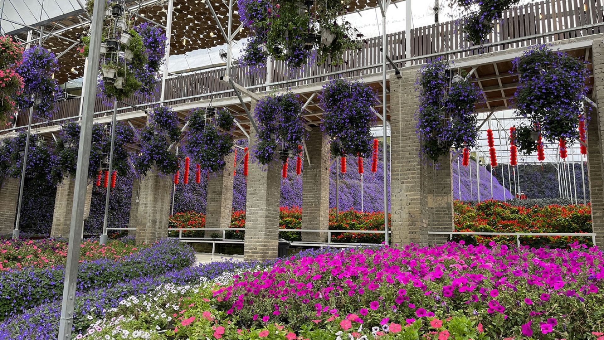 Cameron Highlands: The Ultimate Guide You Need Right Now [2024]