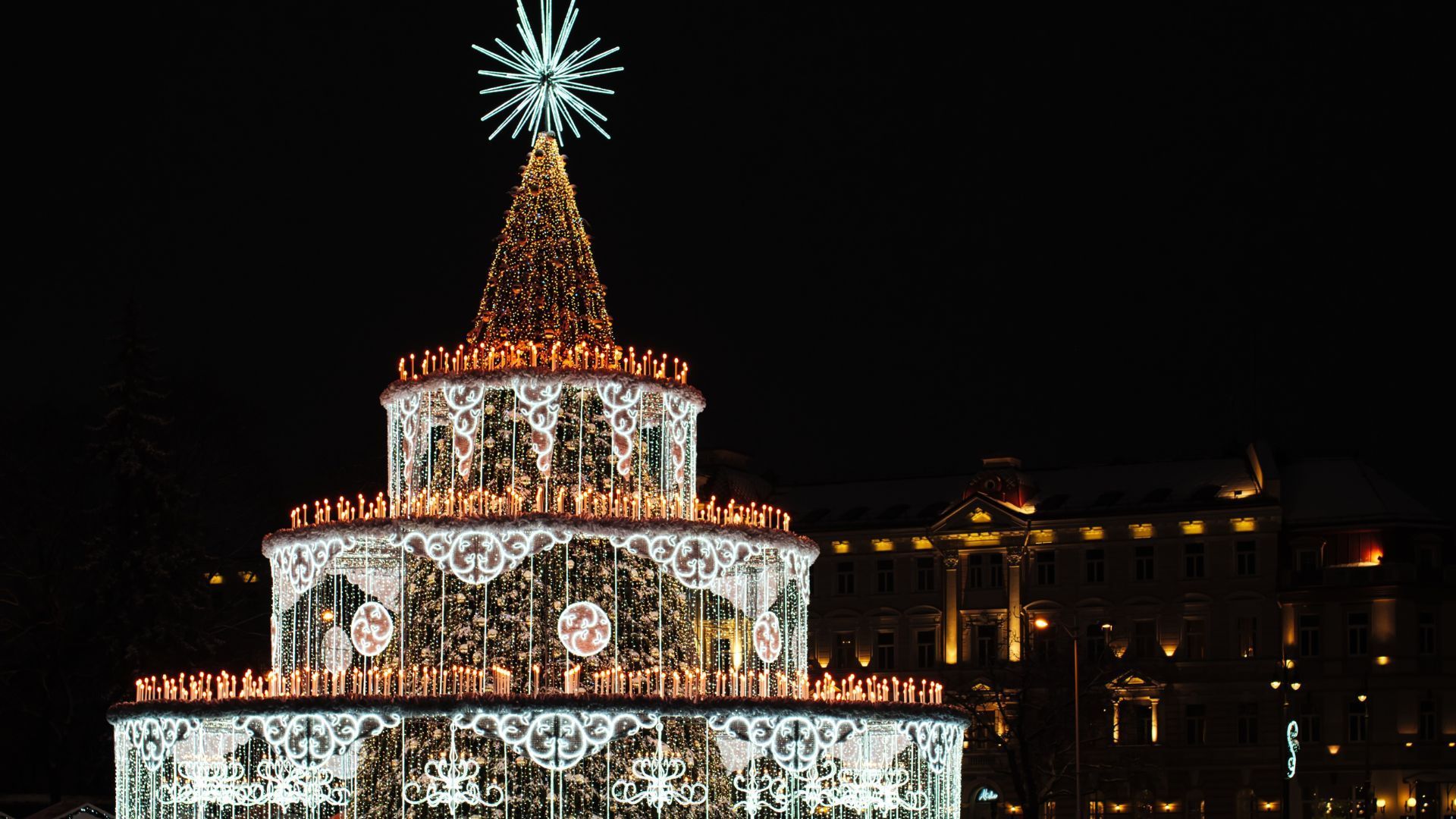 7 Most Stunning & Beautiful Christmas Tree In The World 2023 (Check Photos)
