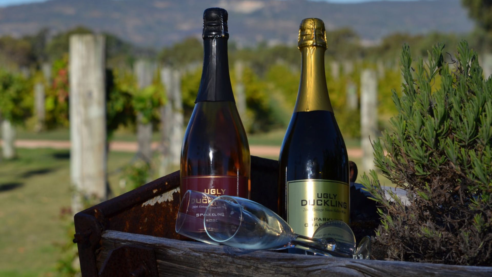 The Best Things To Do In Perth For A Fun Itinerary