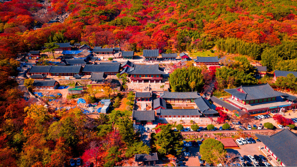 Famous Temples In South Korea To Find Inner Peace - Buddhist ...