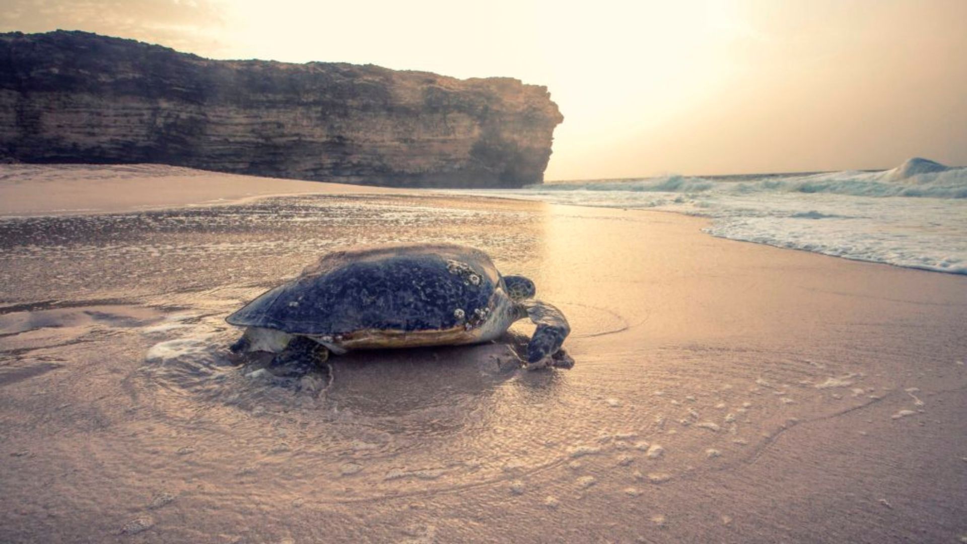 Some Of The Best Things To Do In Oman