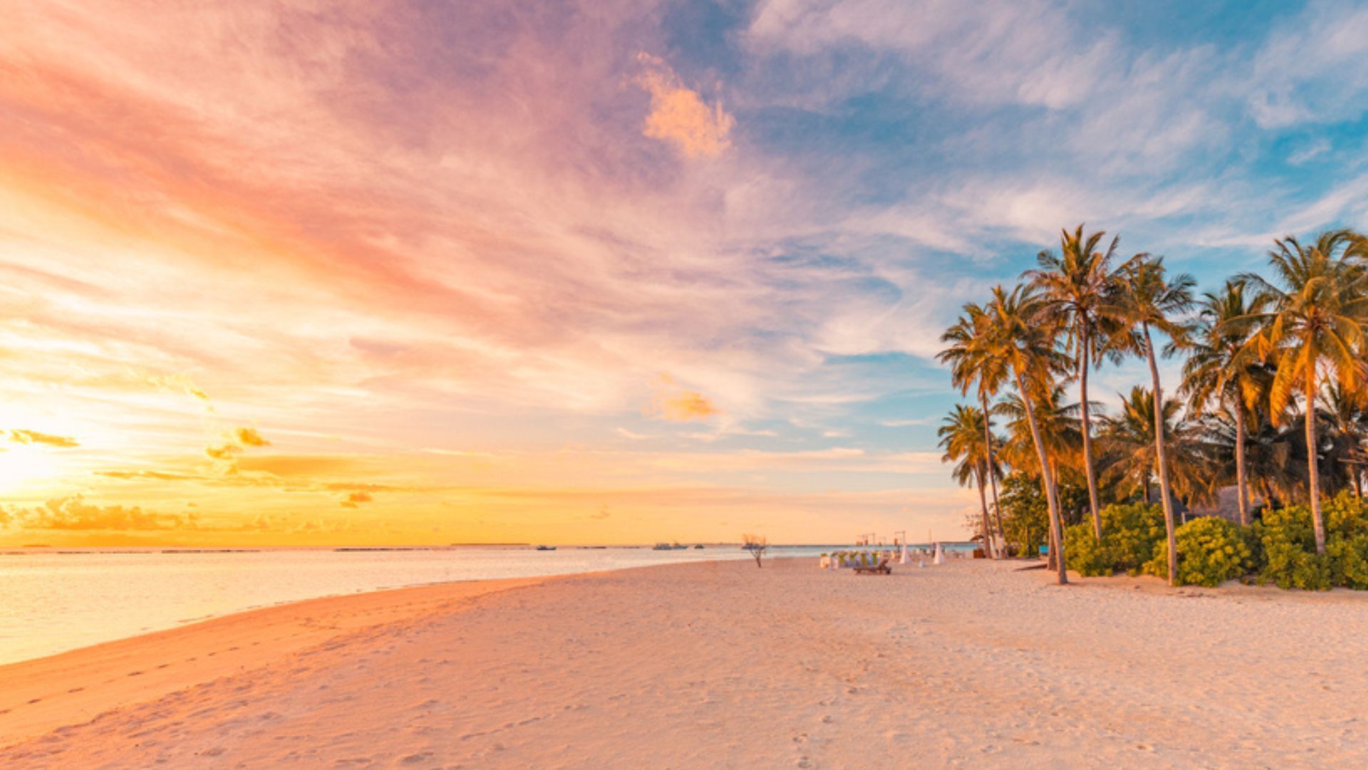 Best Time To Visit Mauritius: Planning An Unforgettable Island Escape