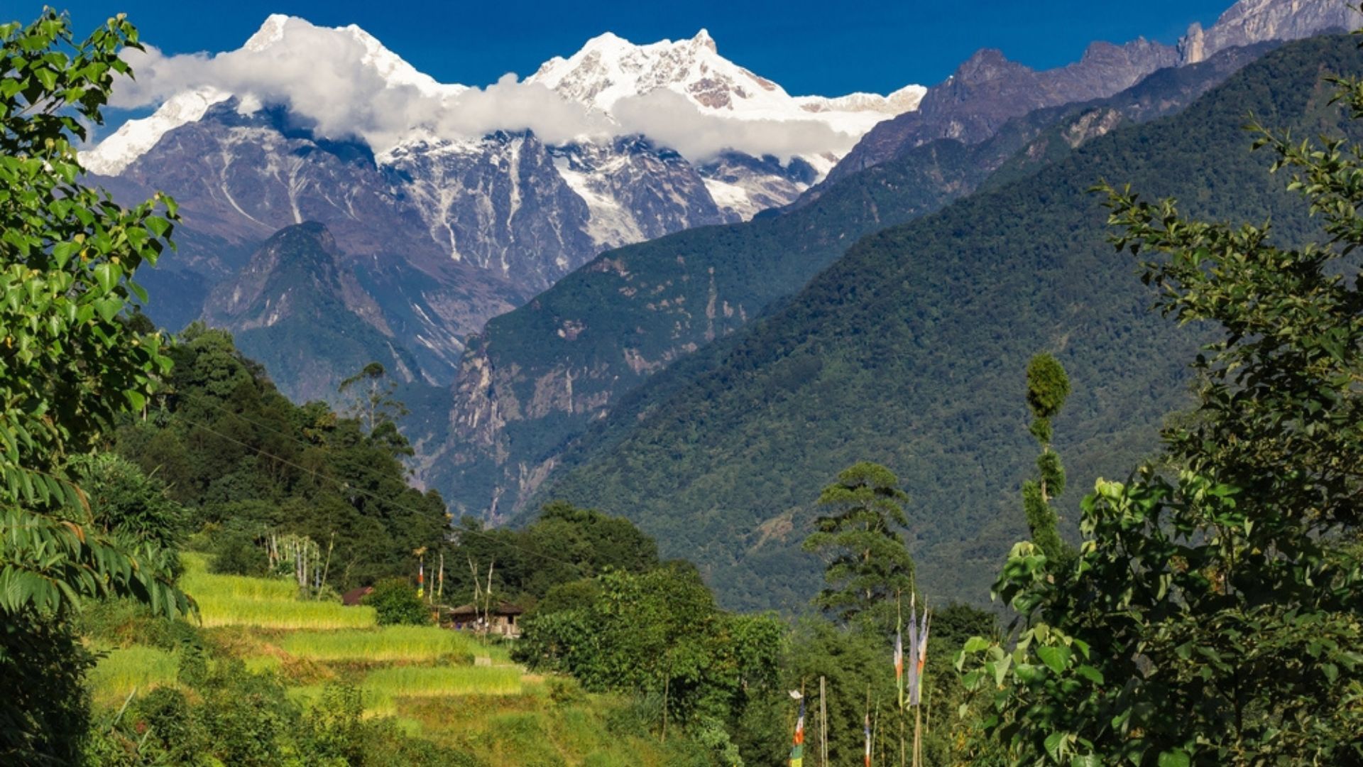 Best Places To Visit In Sikkim: Explore The Magic Of The Himalayas 2024