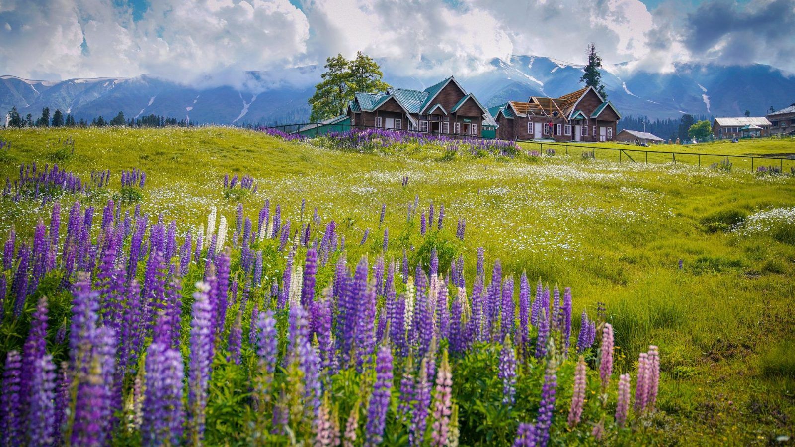 Best Time To Visit Gulmarg Kashmir Weather, Temperature & Seasons 2024