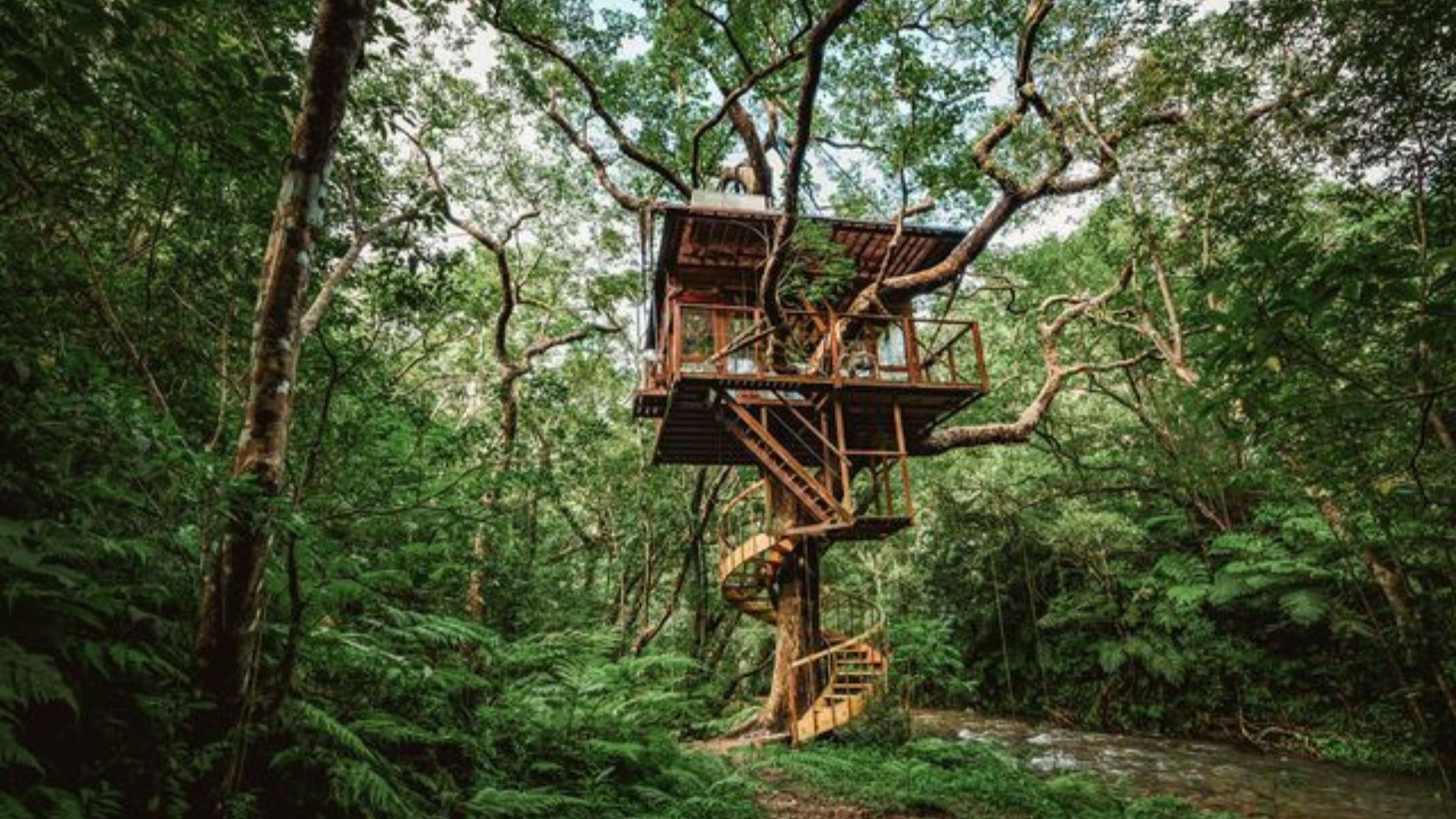 Treeful, A Tree House Resort In Japan Has 360-Degree Jungle Views