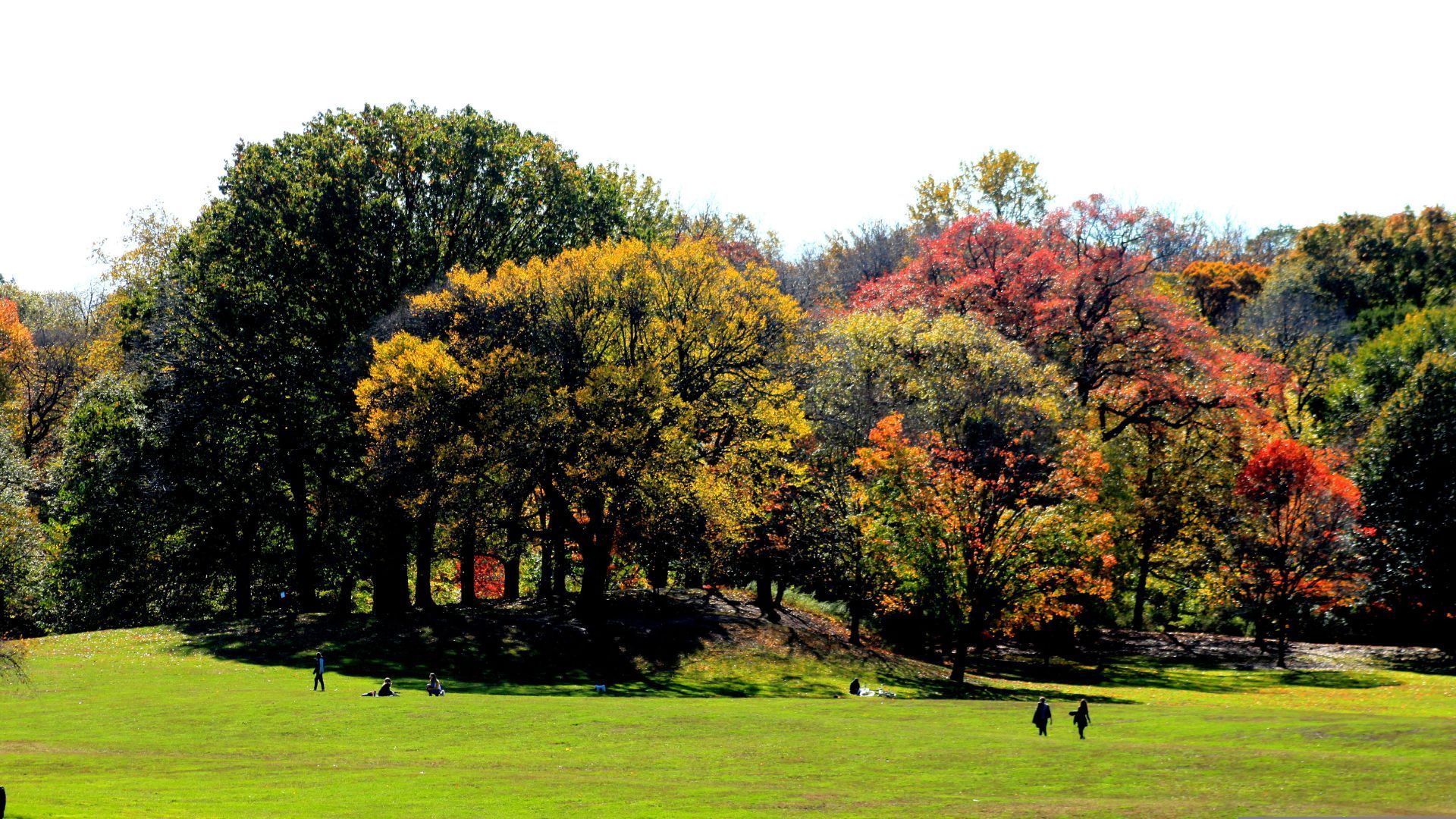 10 Beautiful Places To Visit In New York City: NYC Scenic Attractions 2024