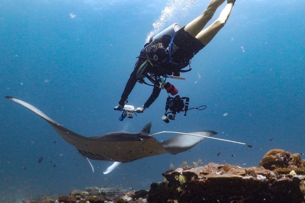 What Does a Marine Biologist in the Maldives Do All Day?