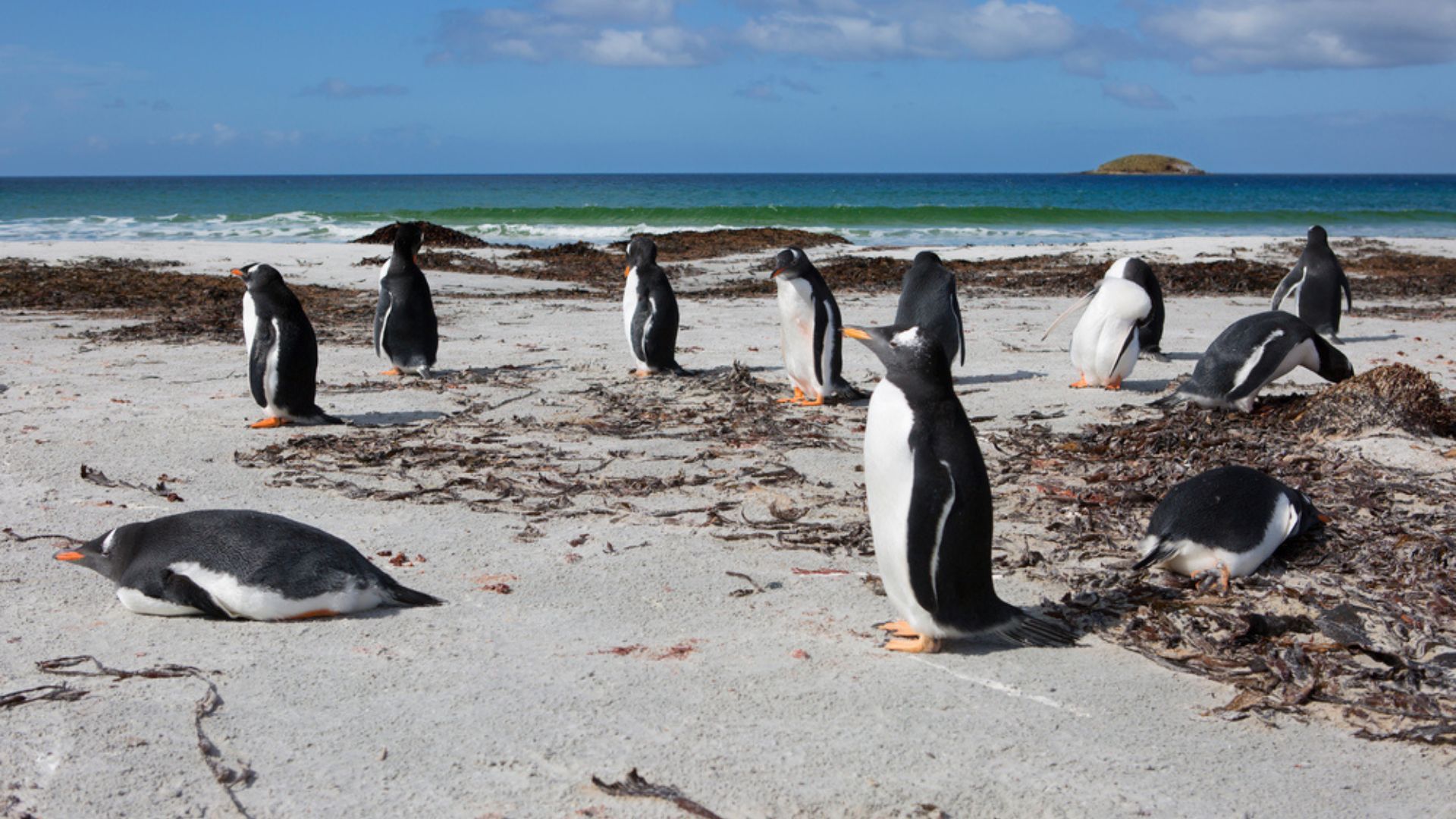 Least Populated Nations: Smallest Countries In The World By Population 2024