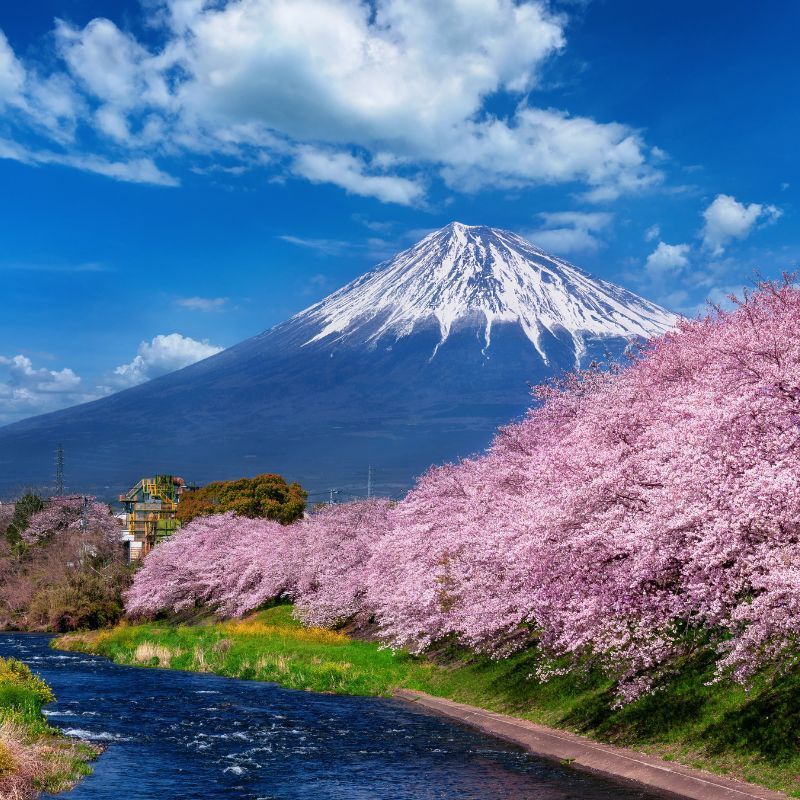 This Is The Best Time To Visit Tokyo