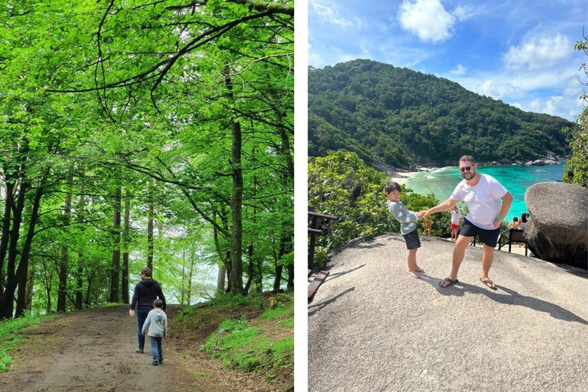 Wandering Wolf And Cub: A Travel Essay