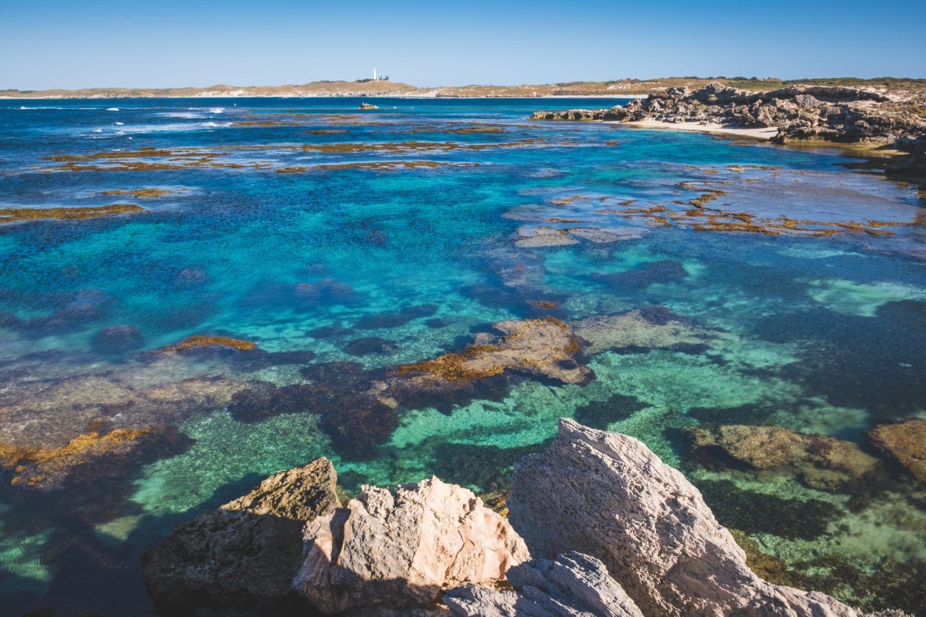24 Hour Guide: Must-Do Activities on Rottnest Island, Australia