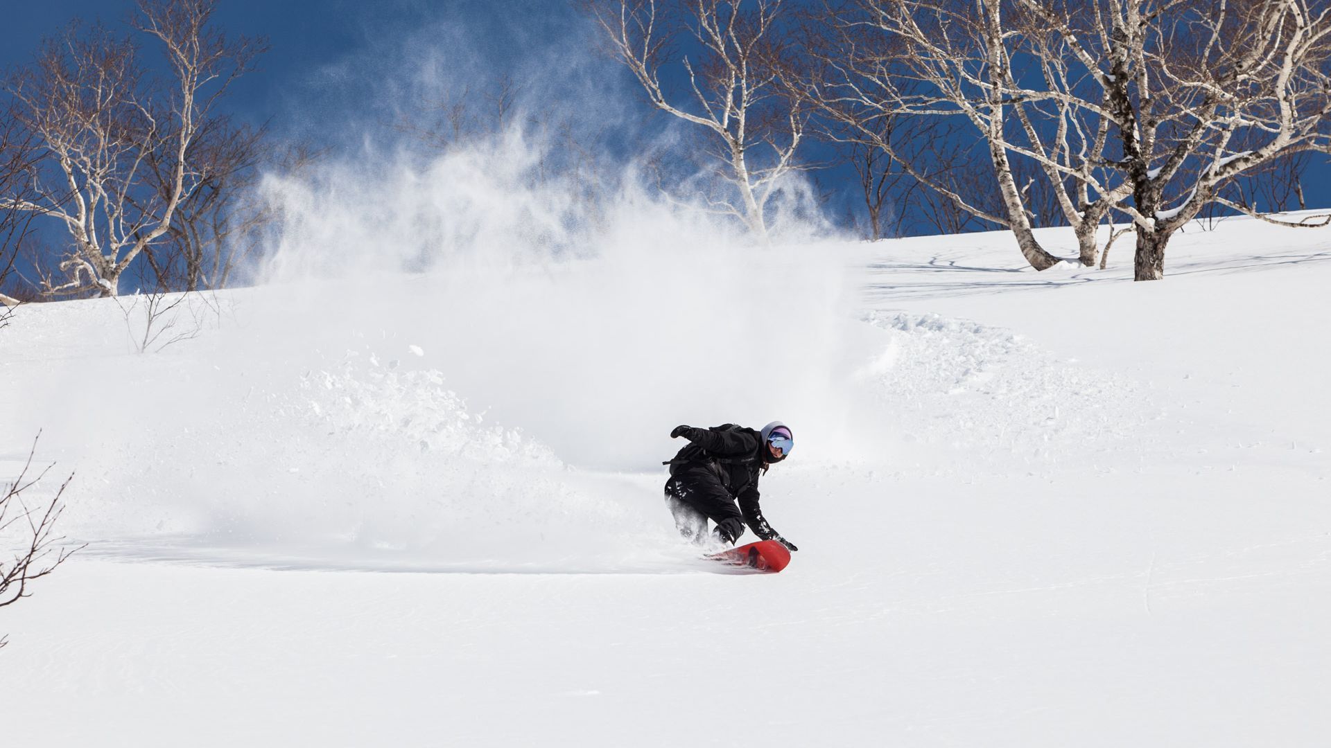 Onsen, Sushi, Sumo & Sake - Most Unique Experiences In Japan 2024