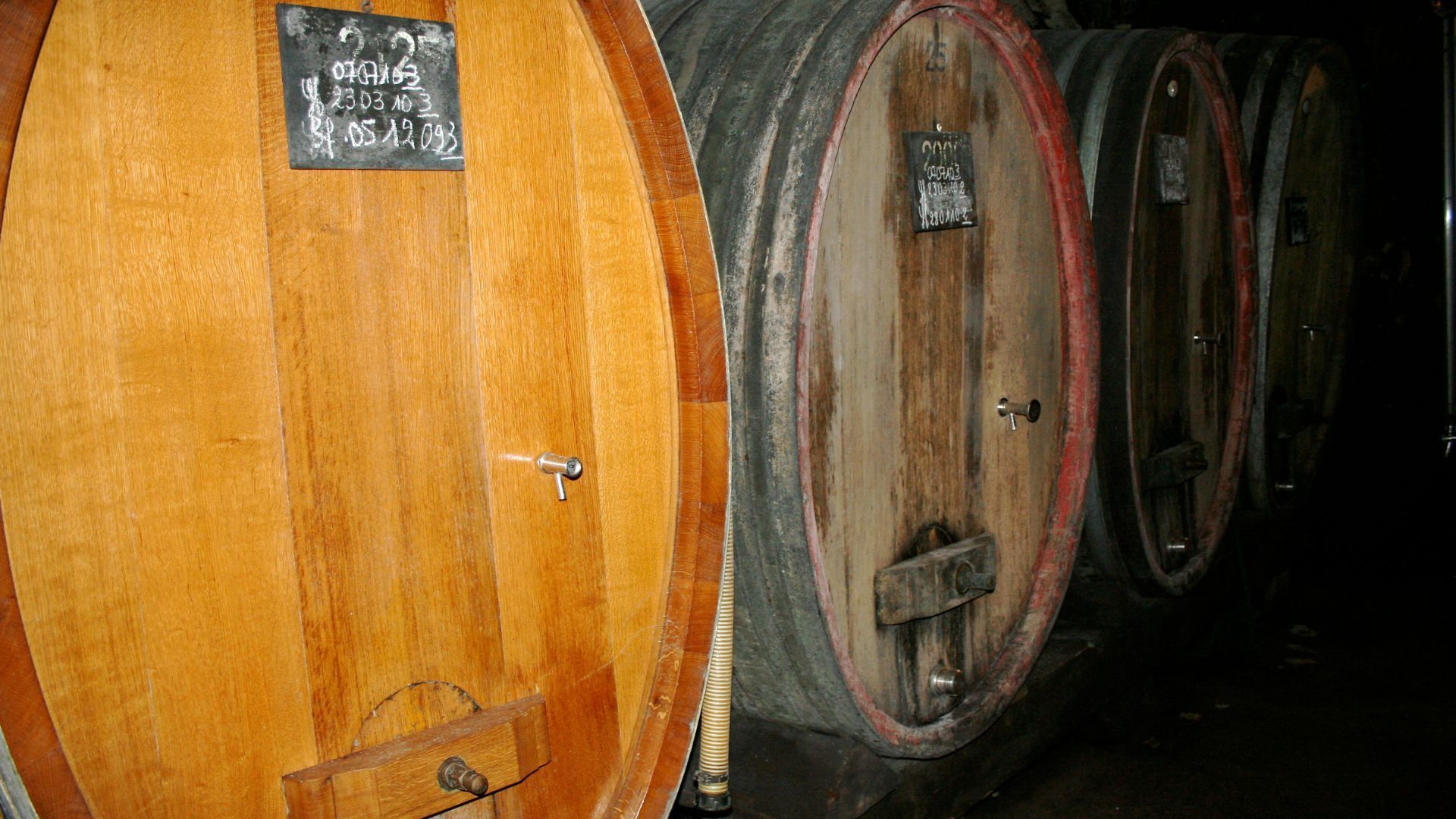 Vineyards In France: A Wine Vacation Through The Grape Outdoors