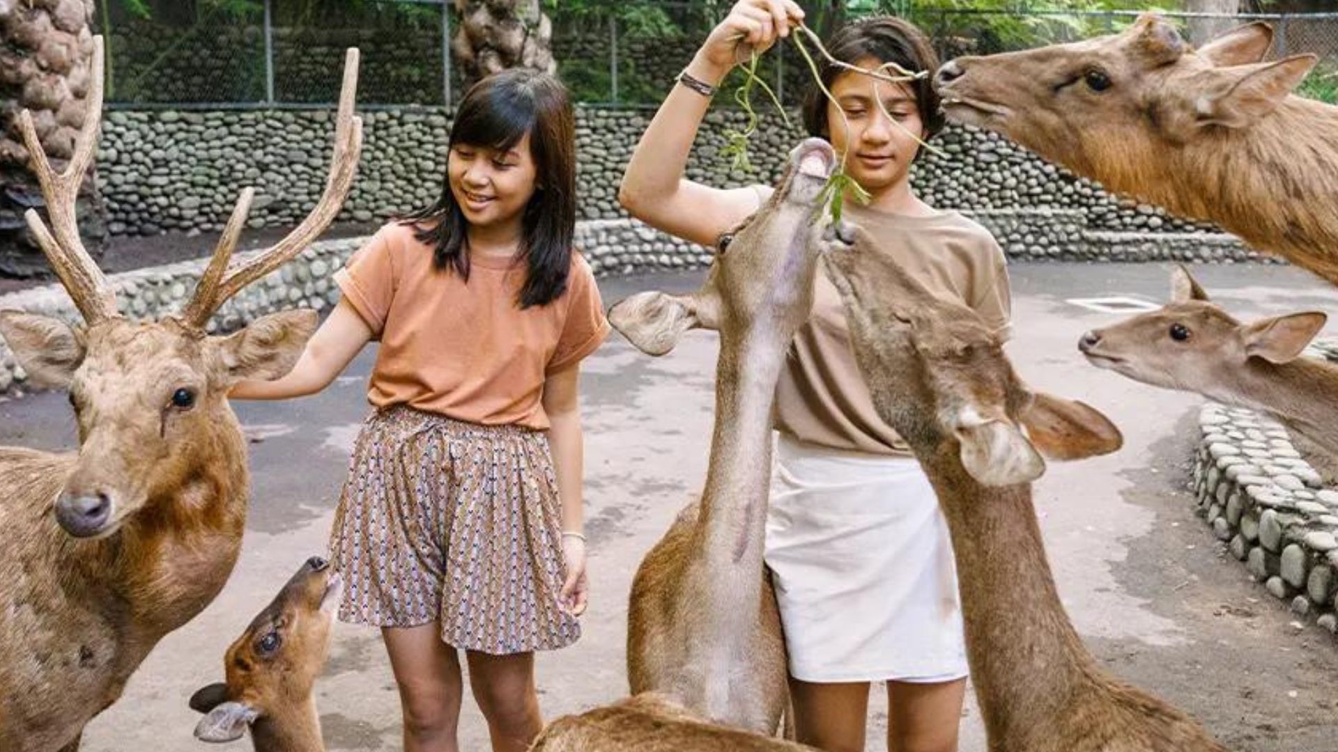 Bali Zoo: Tickets, Attractions And Everything Else You Need To Know