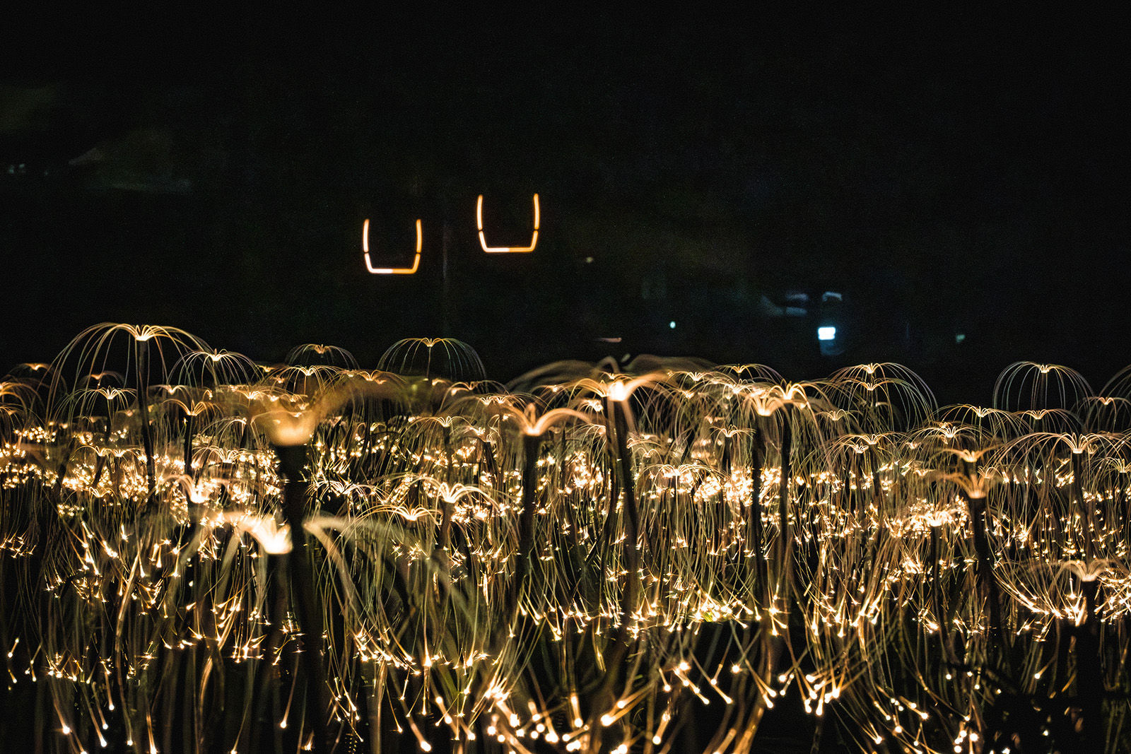 Elegance Meets Illumination at Park Hyatt Niseko Hanazono