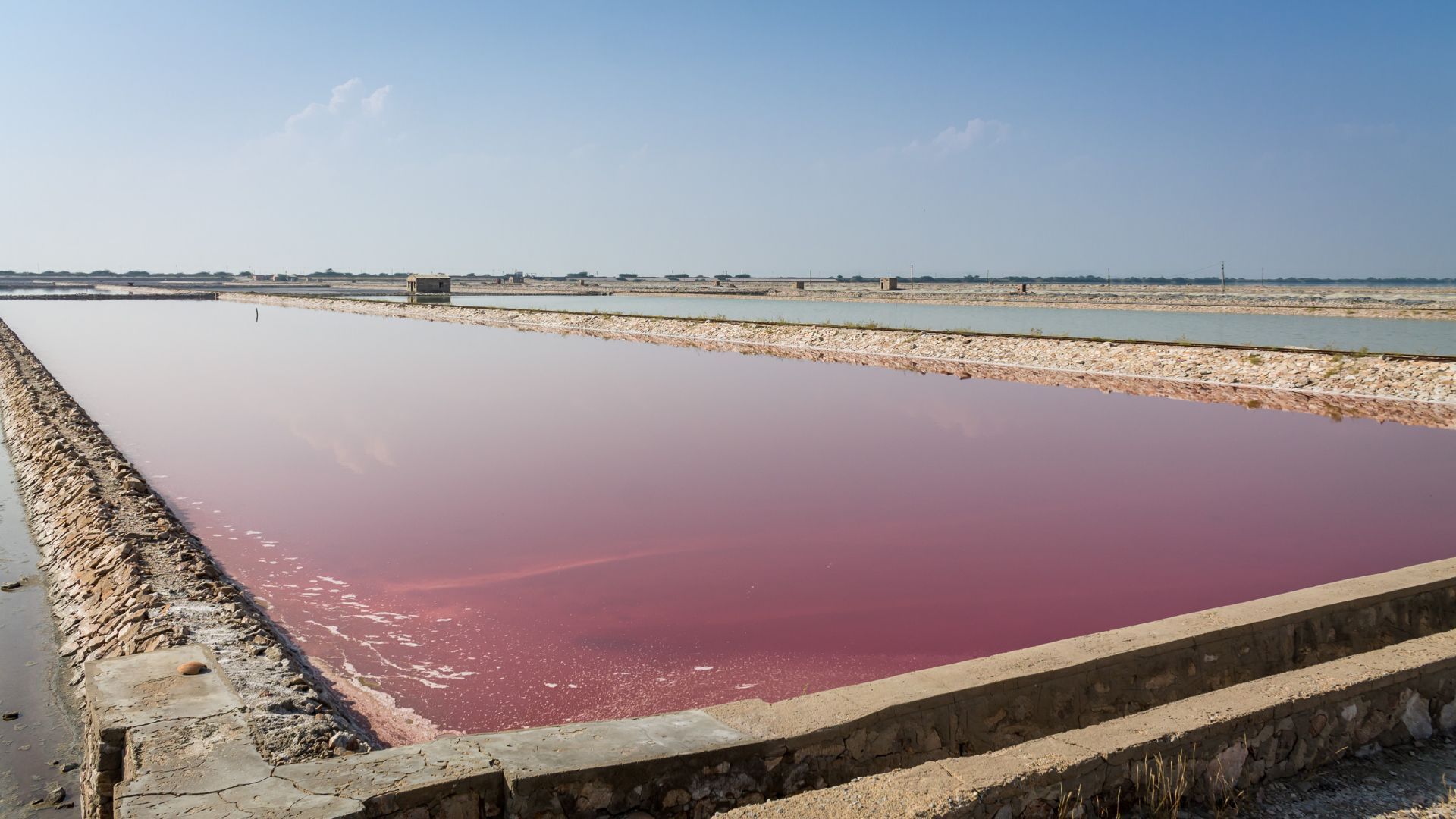 Soaking The Salt, Stars, And Stories of Rajasthan's Sambhar Lake