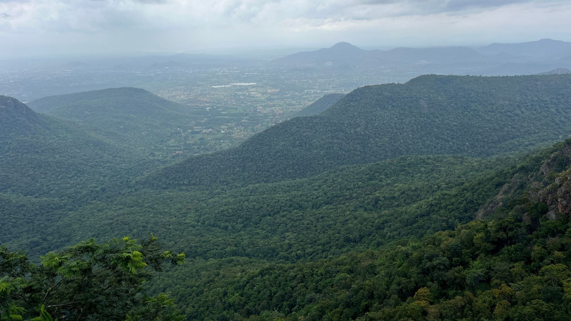 Waterfalls, Hills & Lakes: Top Tourist Places In Yercaud Hill Station ...