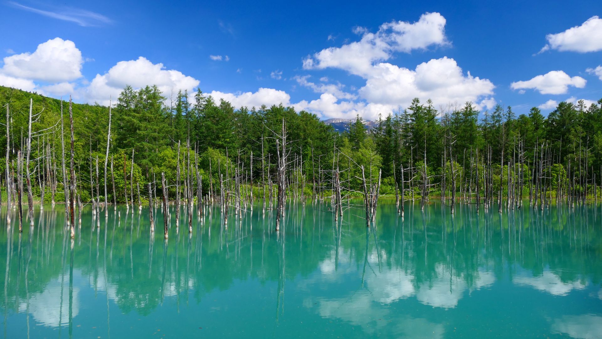 Hokkaido Itinerary: Spend 10 Days In Northern Japan's Untouched Island