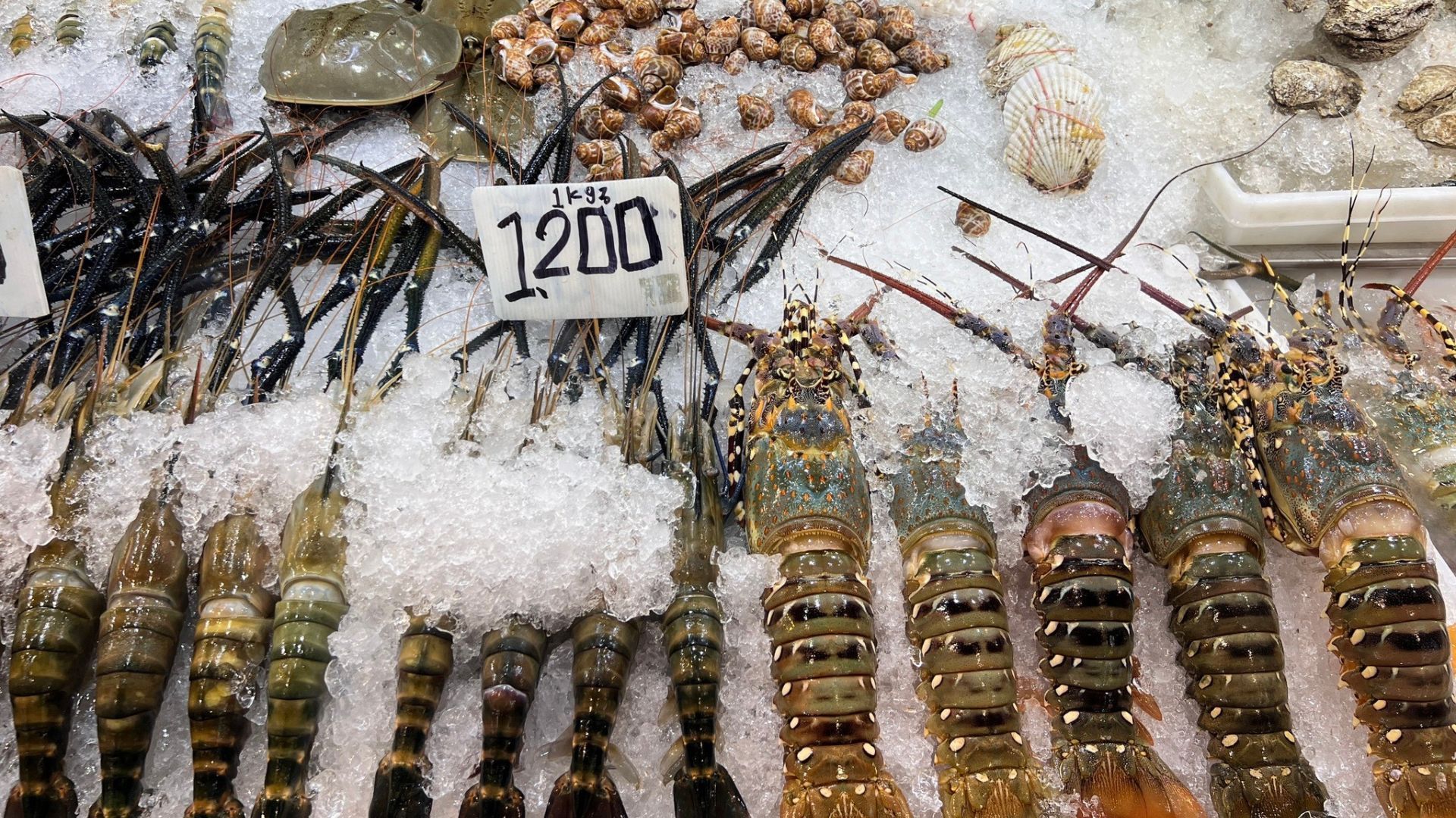 Thonburi Market Place – A Must-Visit For Foodies And Bargain Hunters