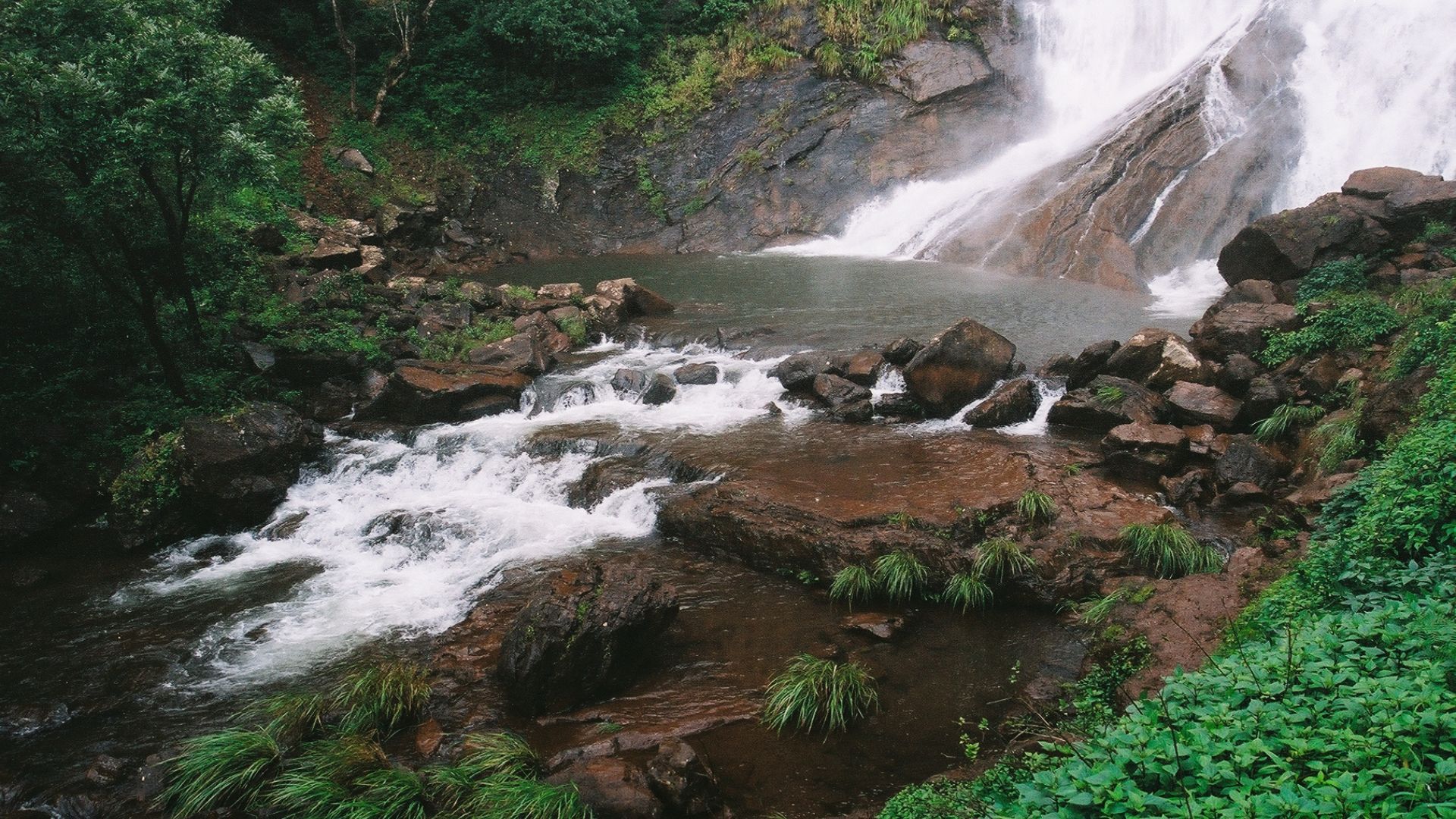 Places To Visit In Chikmagalur: From Misty Mountains To Coffee Estates