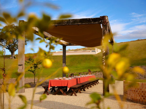 Cowboy Core Meets Cosmic Wellness at Sun Ranch, Byron Bay