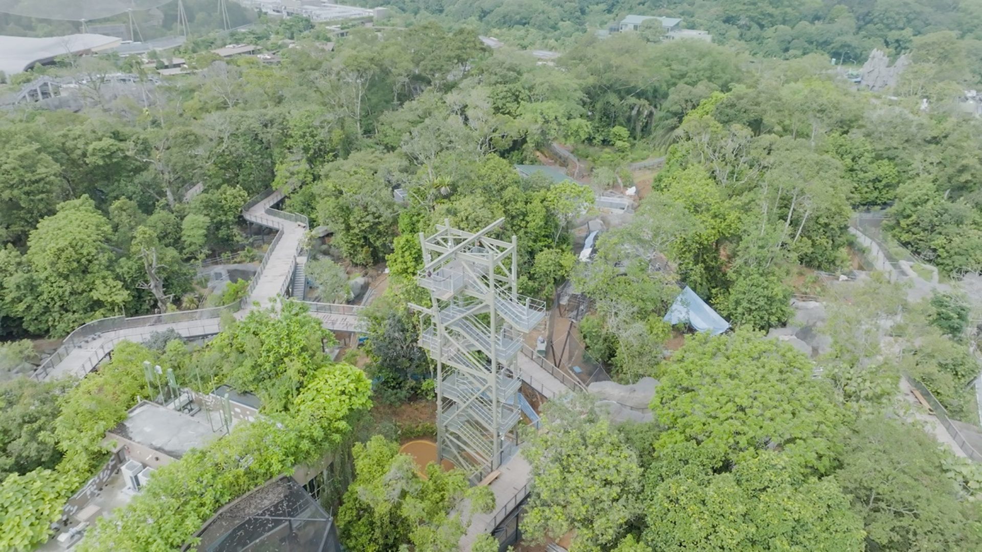 Rainforest Wild Asia: Singapore To Launch First Adventure Wildlife Park