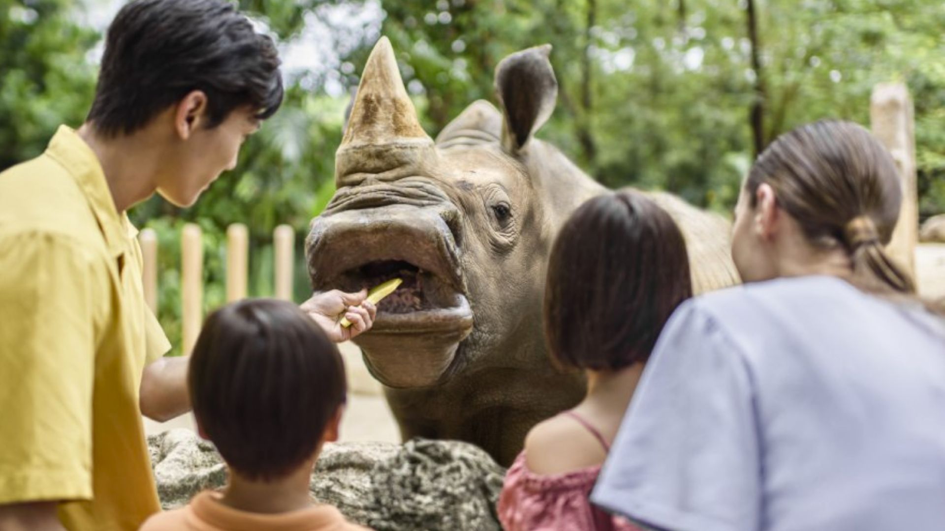 Zoos In Singapore: Meet And Greet The Lion City's Unique Wildlife