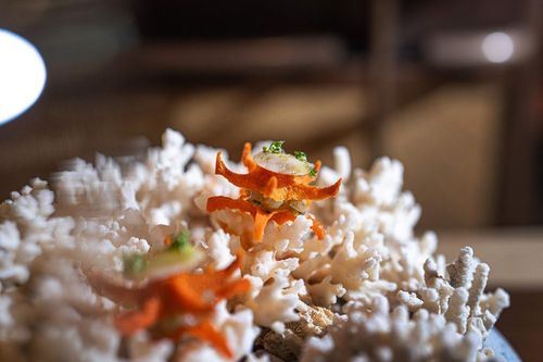 Regent Phu Quoc’s Taste Studio Celebrates "The Way of the Sea"