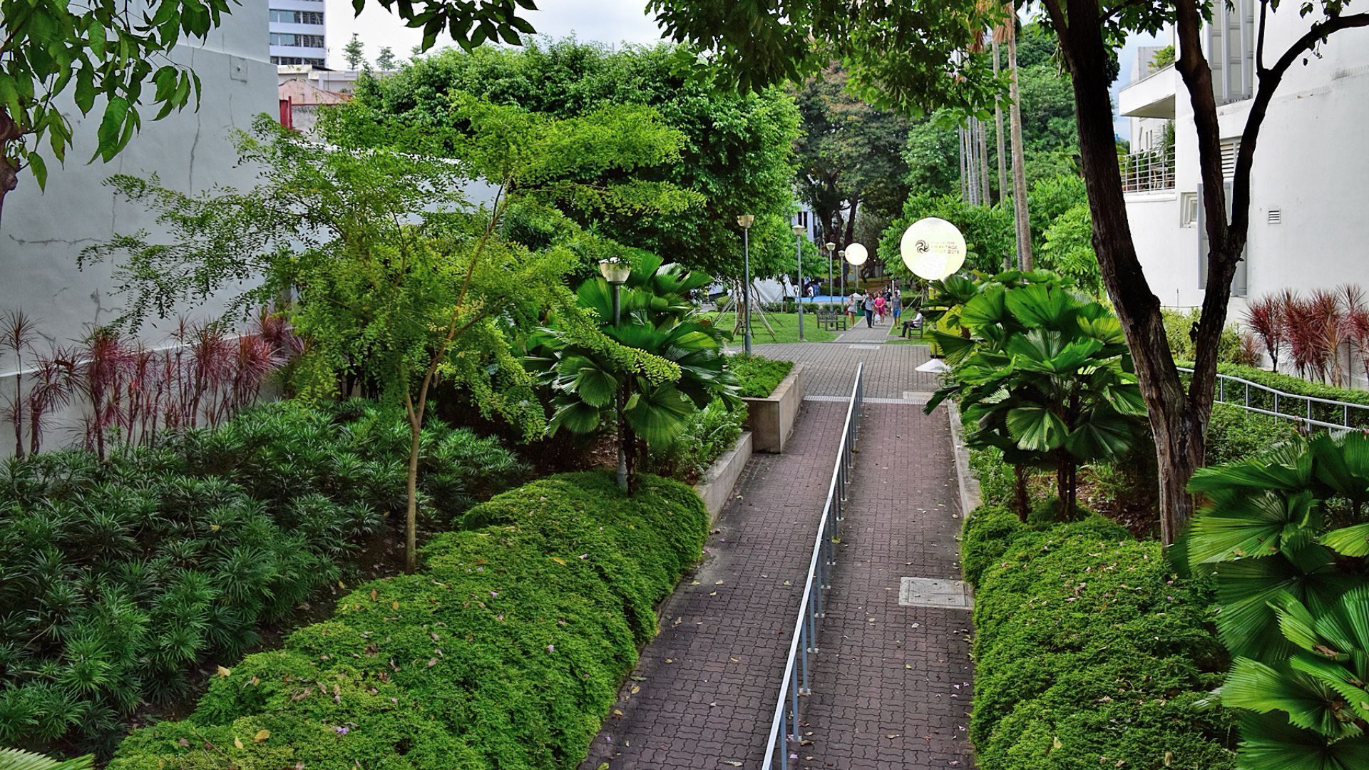 Duxton Hill, Singapore: The Ultimate Guide To Books, Bakeries, And Bars
