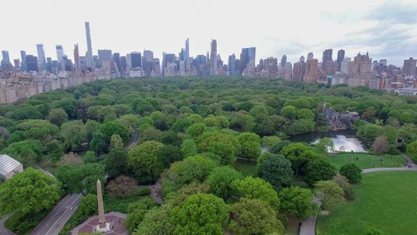 Google Maps Travel Trends For 2024: Top Museums, Parks, Stadiums
