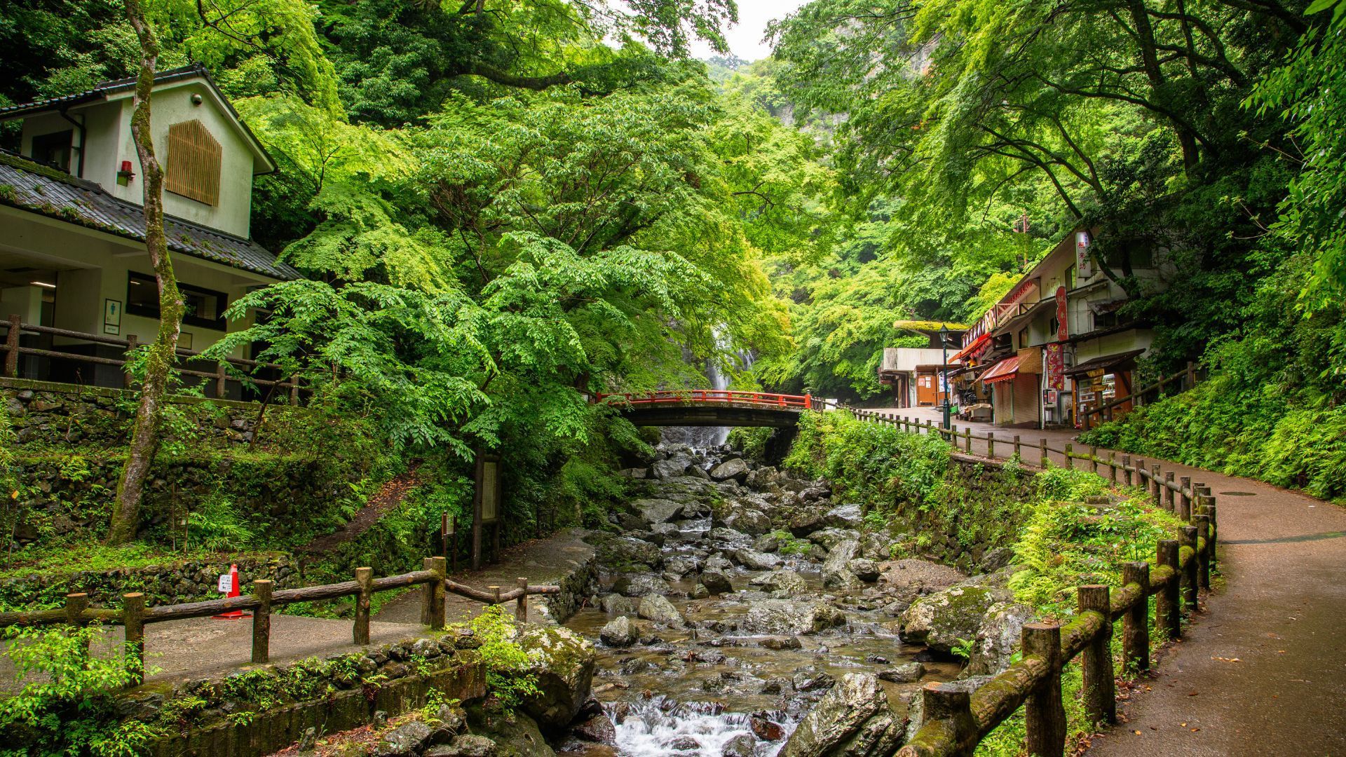 Best Time to Visit Japan: A Seasonal Guide