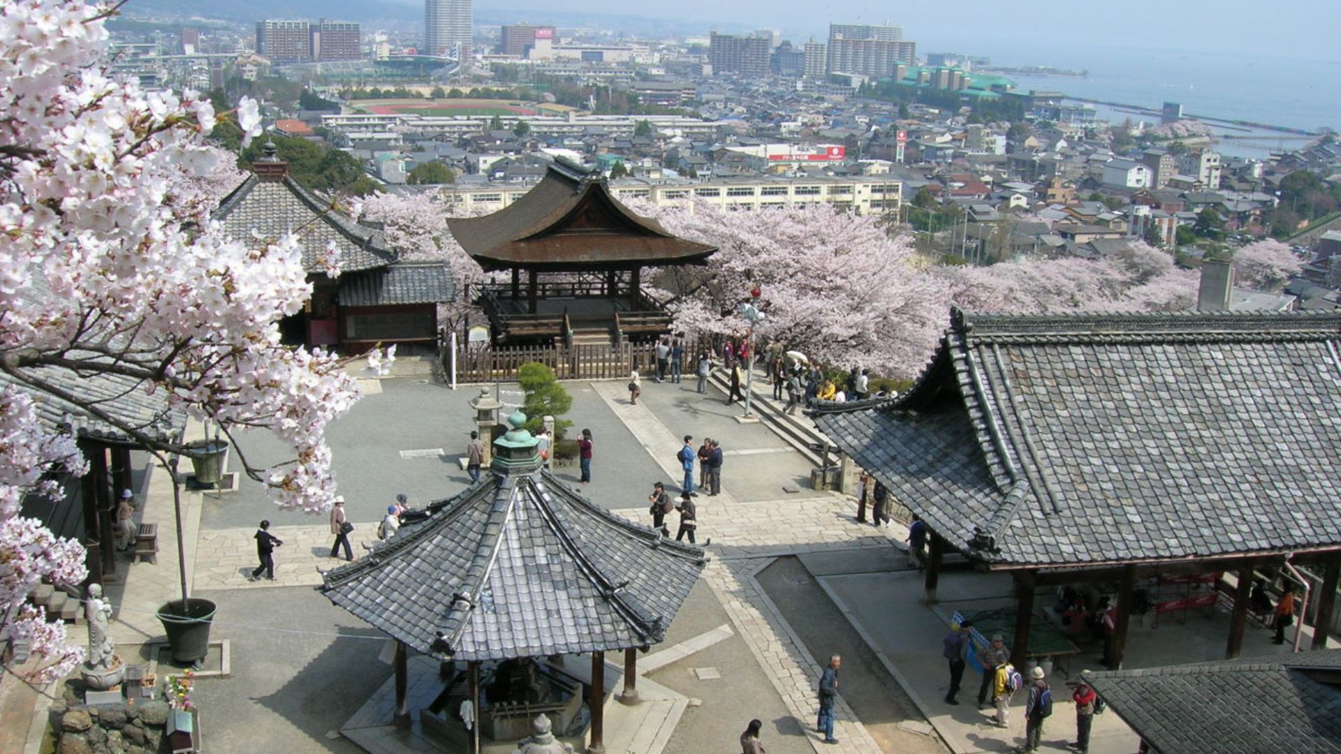 Day Trips From Osaka To Explore Japan's Hidden Beauty