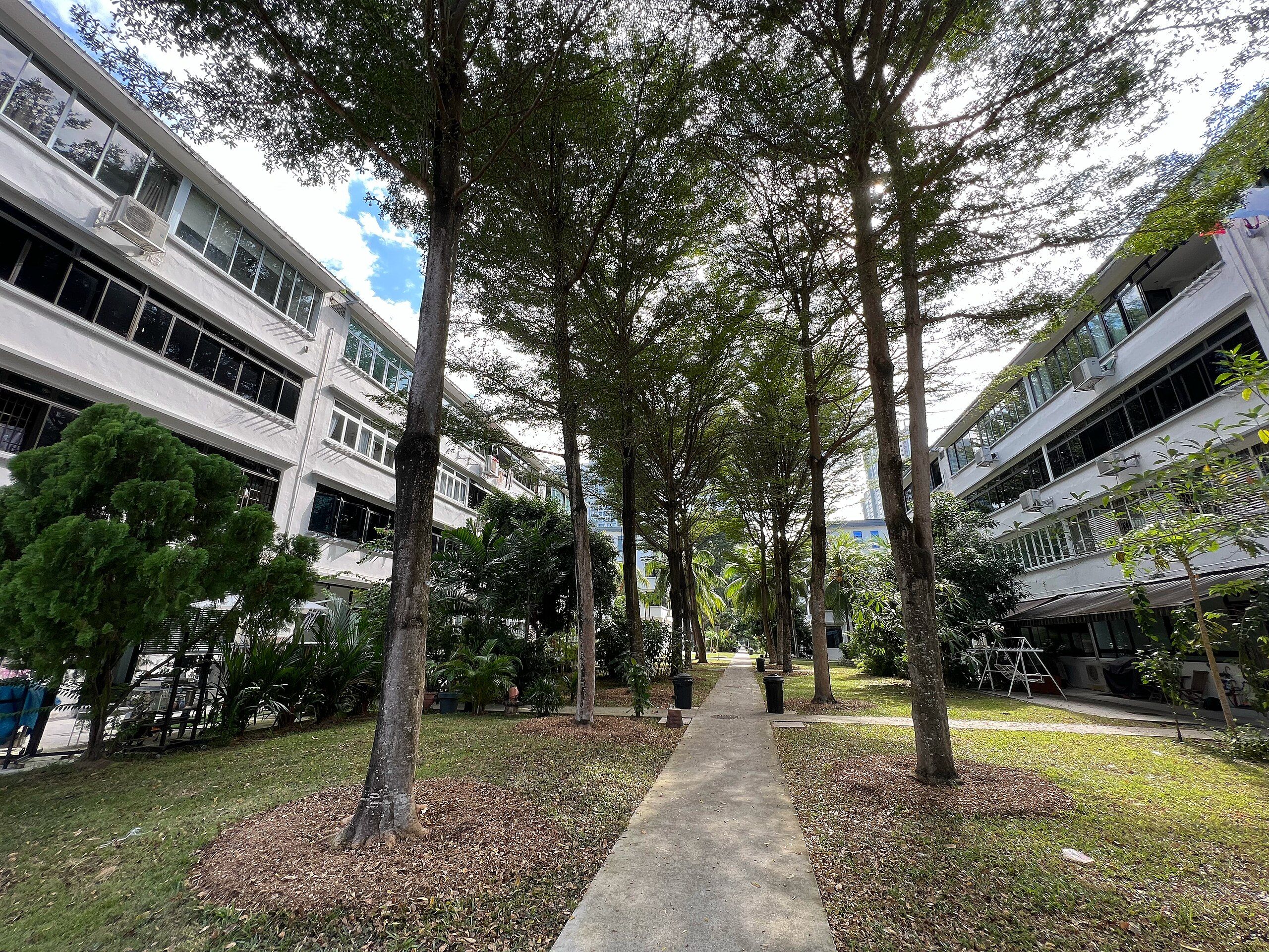 Tiong Bahru: Exploring The Wonders Of Singapore’s Best-Kept Secret