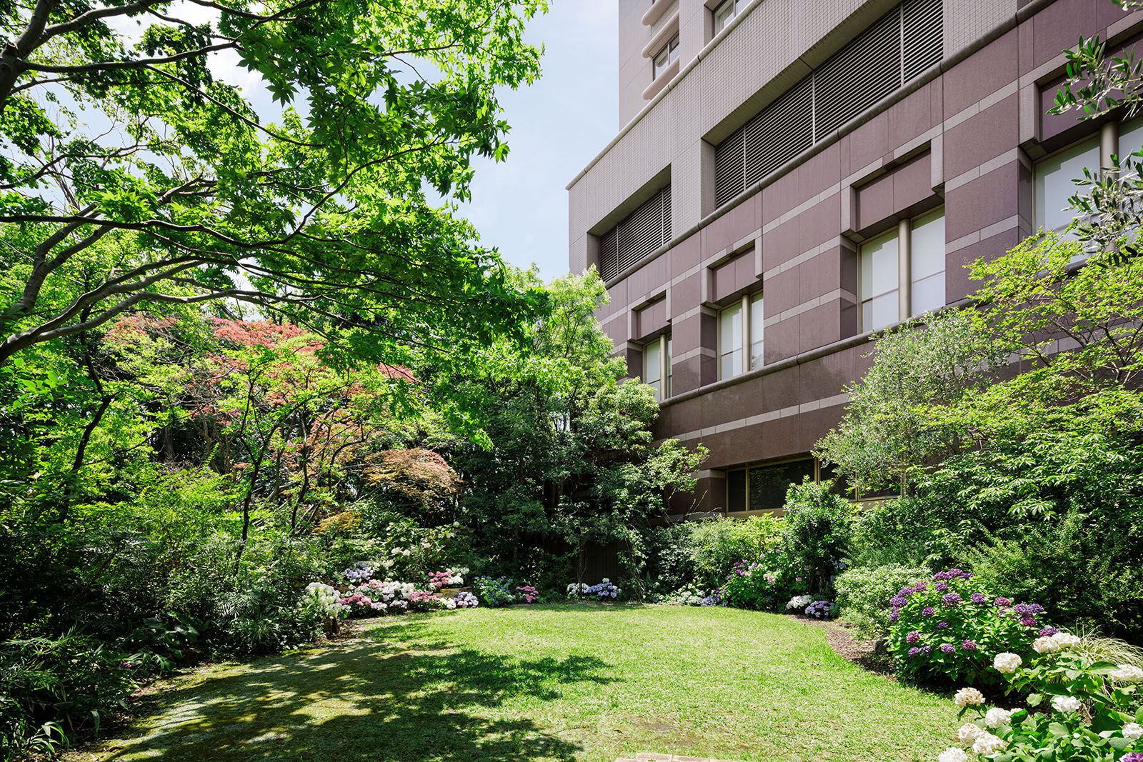 Celebrating Three Decades, Westin Tokyo Raises the Bar with Wellness ...