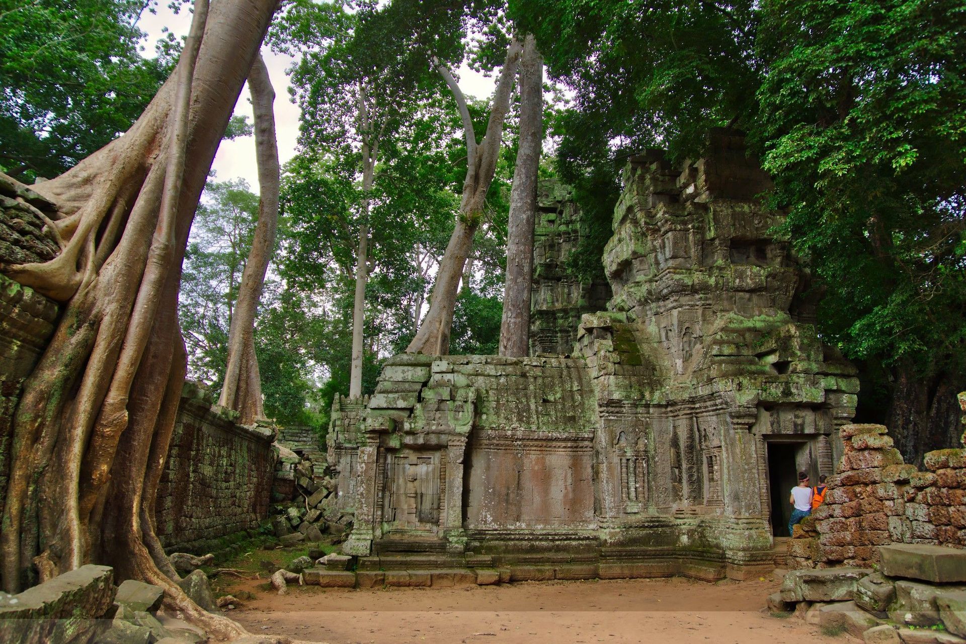Temples in Cambodia: Exploring Angkor Wat, Ta Prohm And Beyond