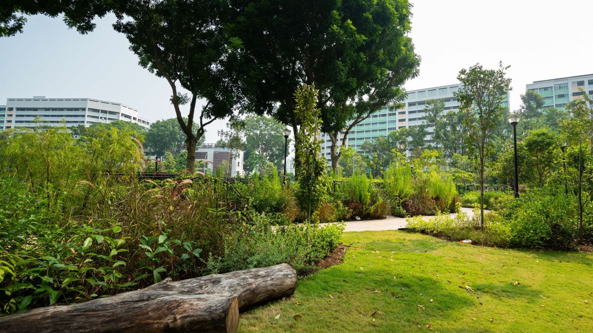 Yishun: A Local’s Guide To This Vibrant Neighbourhood In Singapore