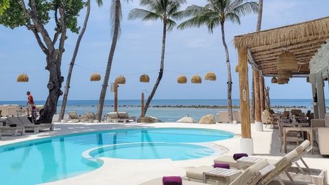 Beach Clubs In Koh Samui: Luxury, Parties, And Epic Nights