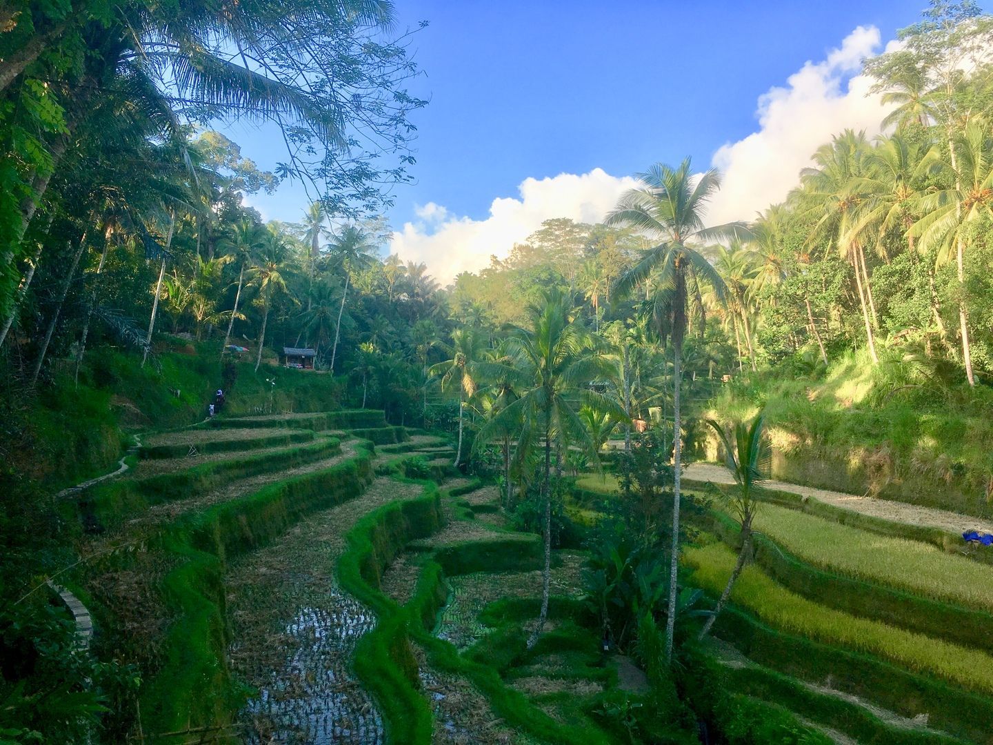 Places To Visit In Bali: The Best Of Temples, Trails, And Tropical Shores