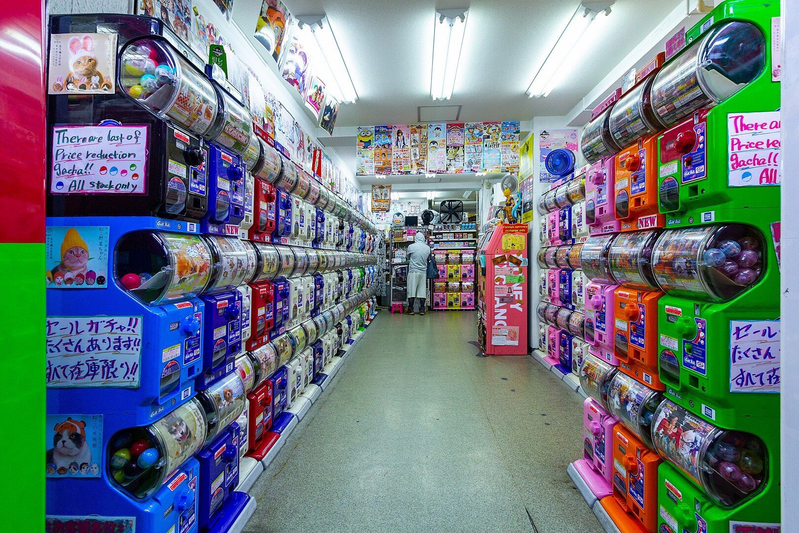 Gachapon Japan: Navigating The Ultimate Mystery Toy Experience