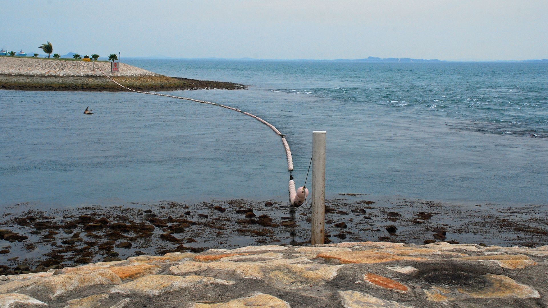 Semakau Island: A Secret Sanctuary That Went From Trash To Treasure