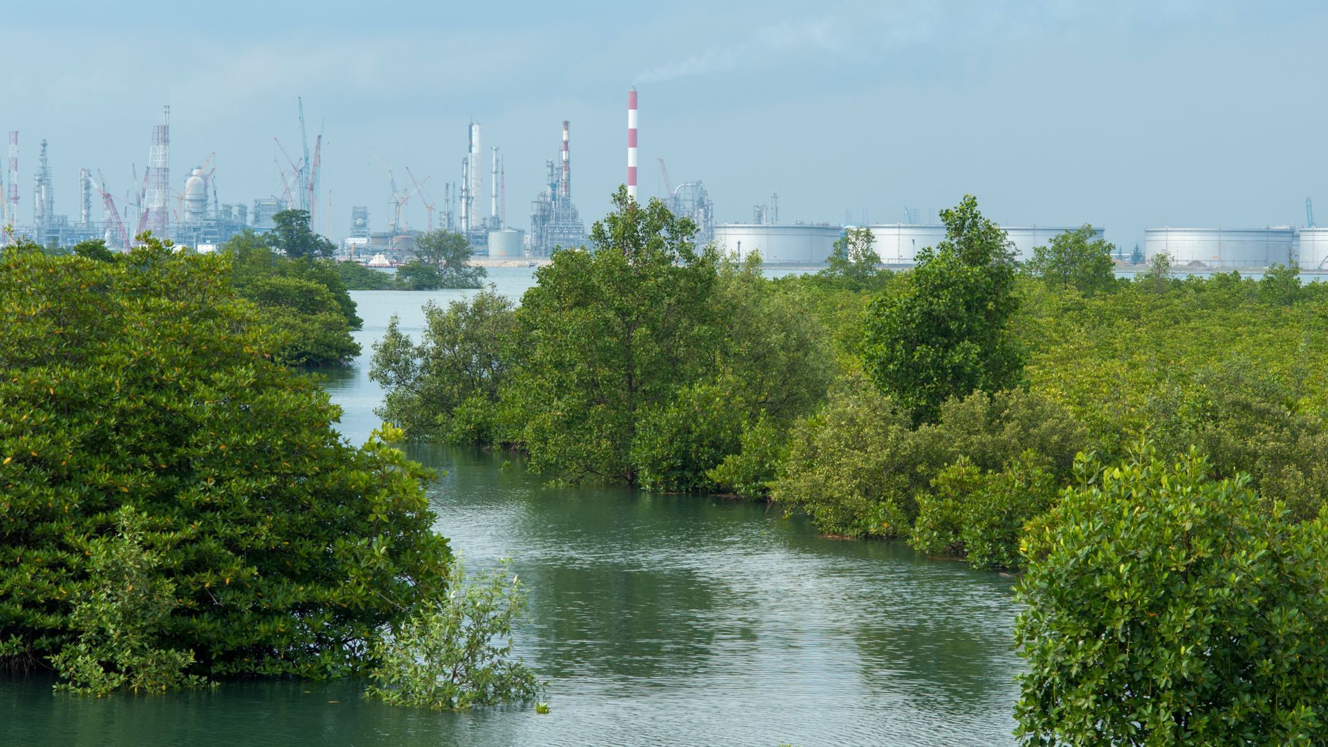 Semakau Island: A Secret Sanctuary That Went From Trash To Treasure