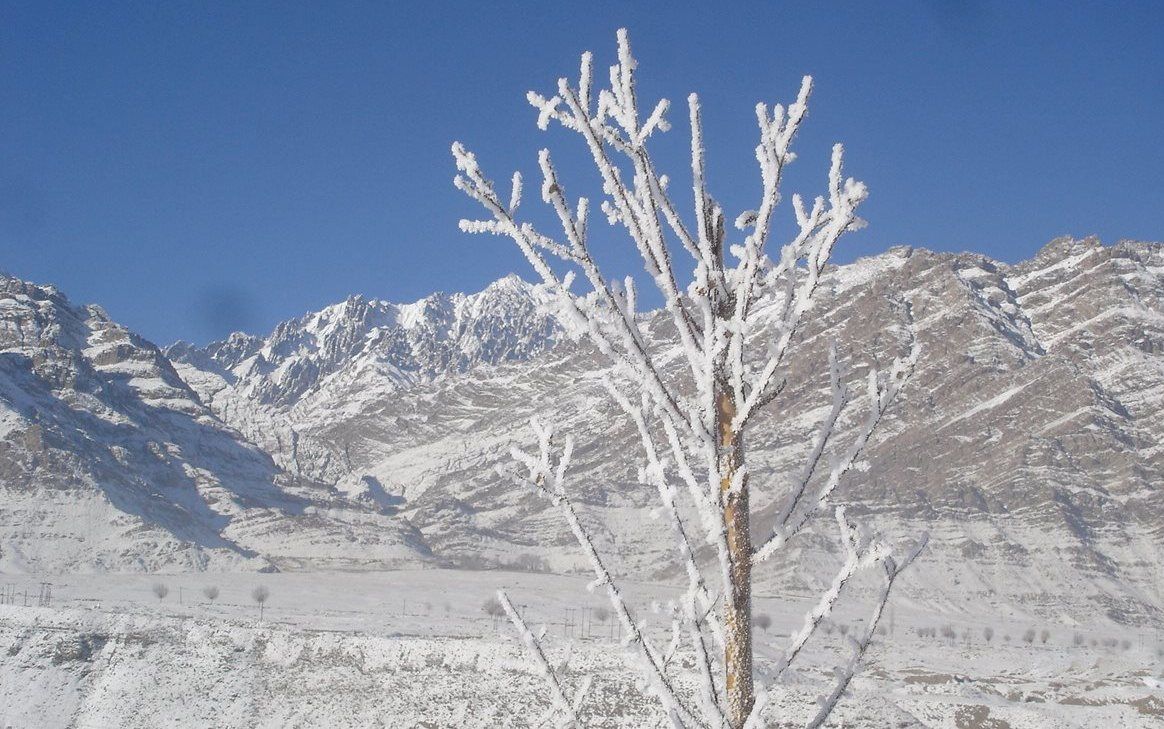 Best Time To Visit Leh, Ladakh: Sparking Summer To White Winter