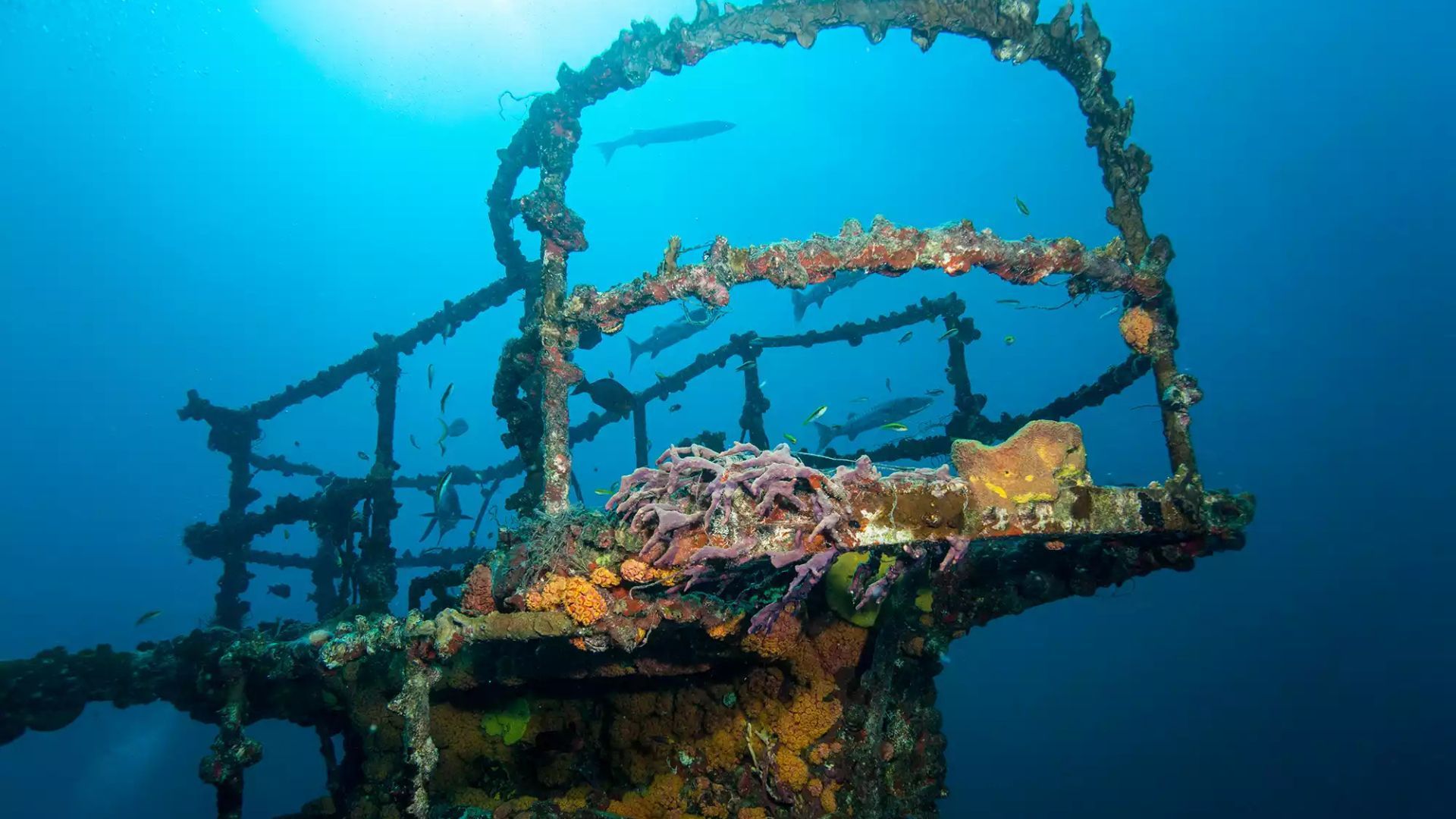 SS United States Will Be Sunk To Become The Largest Artificial Reef