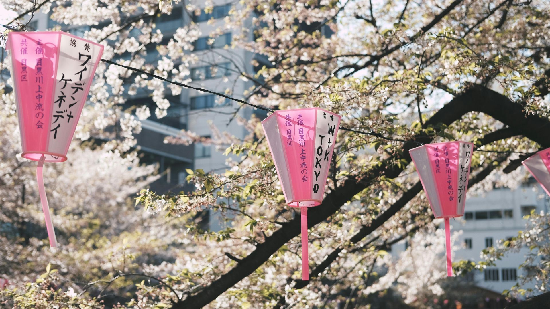 Day Trips From Tokyo: The Best Retreats To Unwind And Explore Around