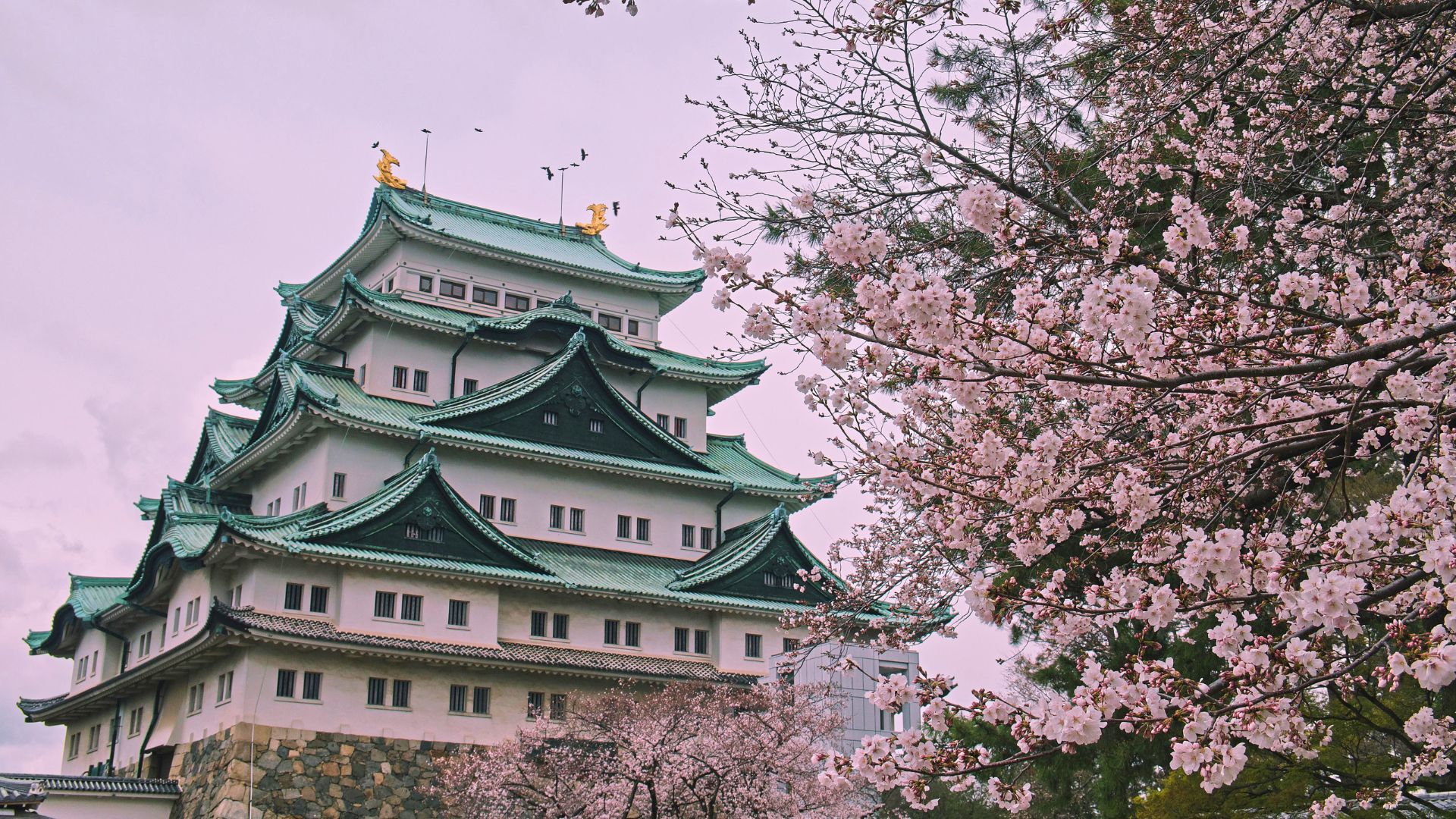 Things To Do In Nagoya: A Compact Travel Guide To Japan's Unique City