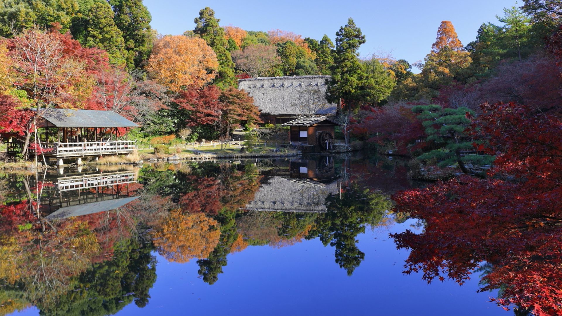 Things To Do In Nagoya: A Compact Travel Guide To Japan's Unique City