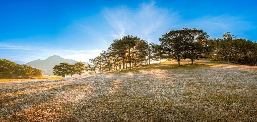 Da Lat – Viet Nam, The World’s Newest Wellness Destination, a Poem ...