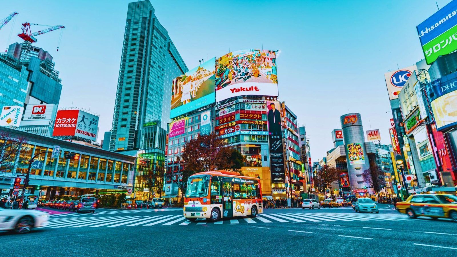 Unique Things To Do In Tokyo: Explore The City Like A Local