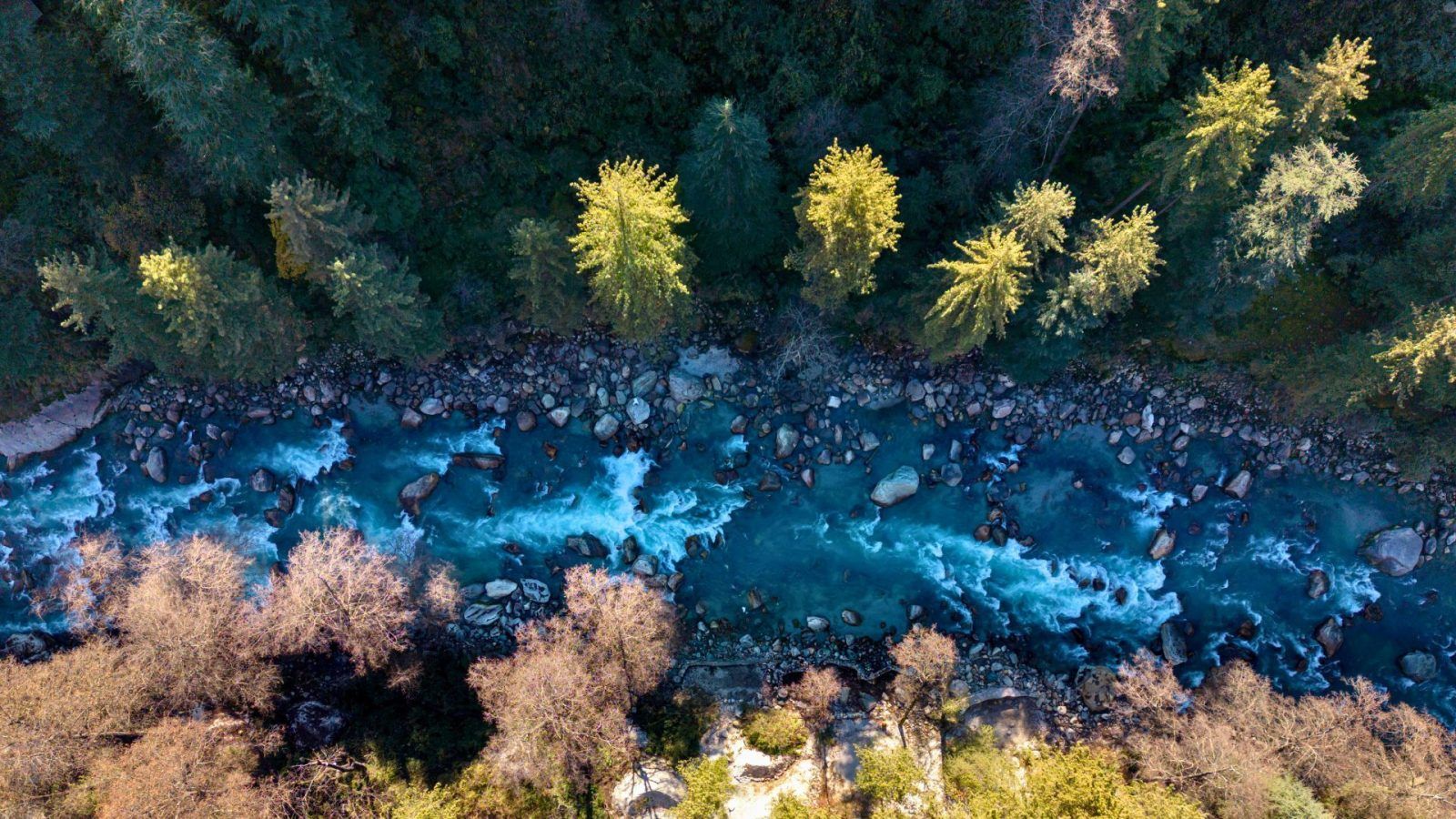 A Gentle Explorer’s Slow Travel Guide To Parvati Valley